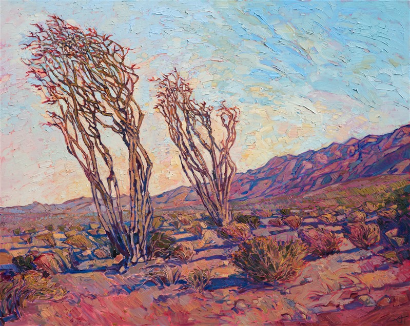 Ocotillo Drawing